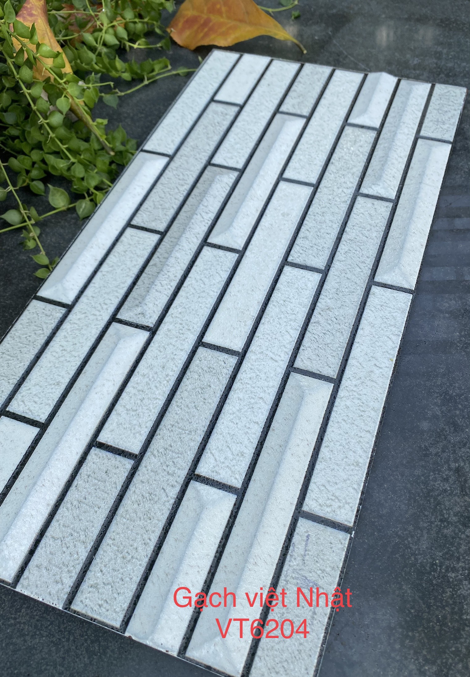 Gạch Trang Trí VT 6204 - Gạch Men Giá Tốt