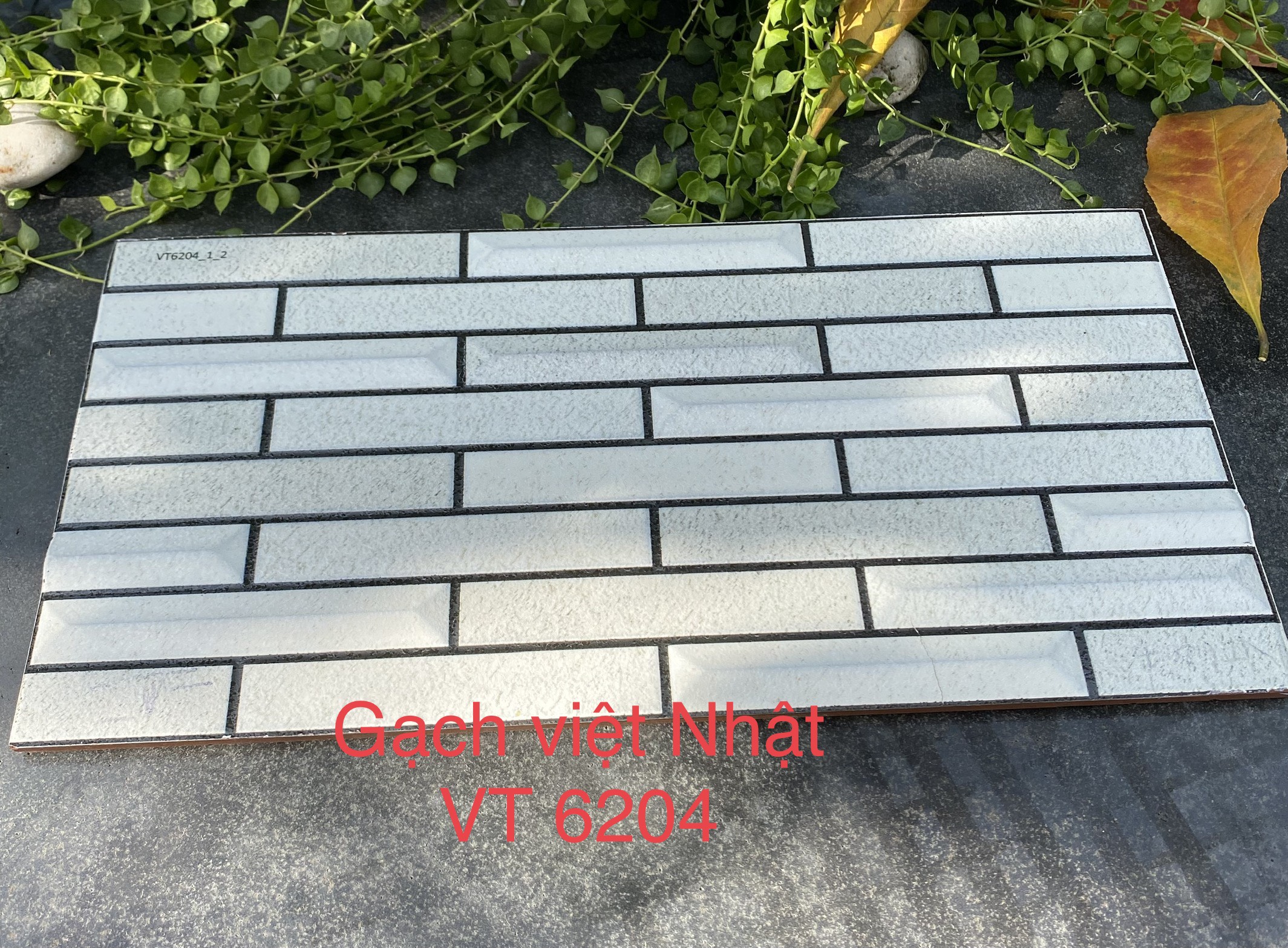 Gạch Trang Trí VT 6204 - Gạch Men Giá Tốt